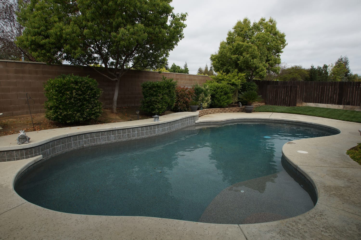 Wet Edge | Products | Chilean Beach Plum